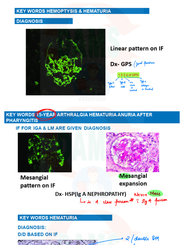 Systemic Pathology DVT-1 | PDF | Genitourinary System Diseases ...