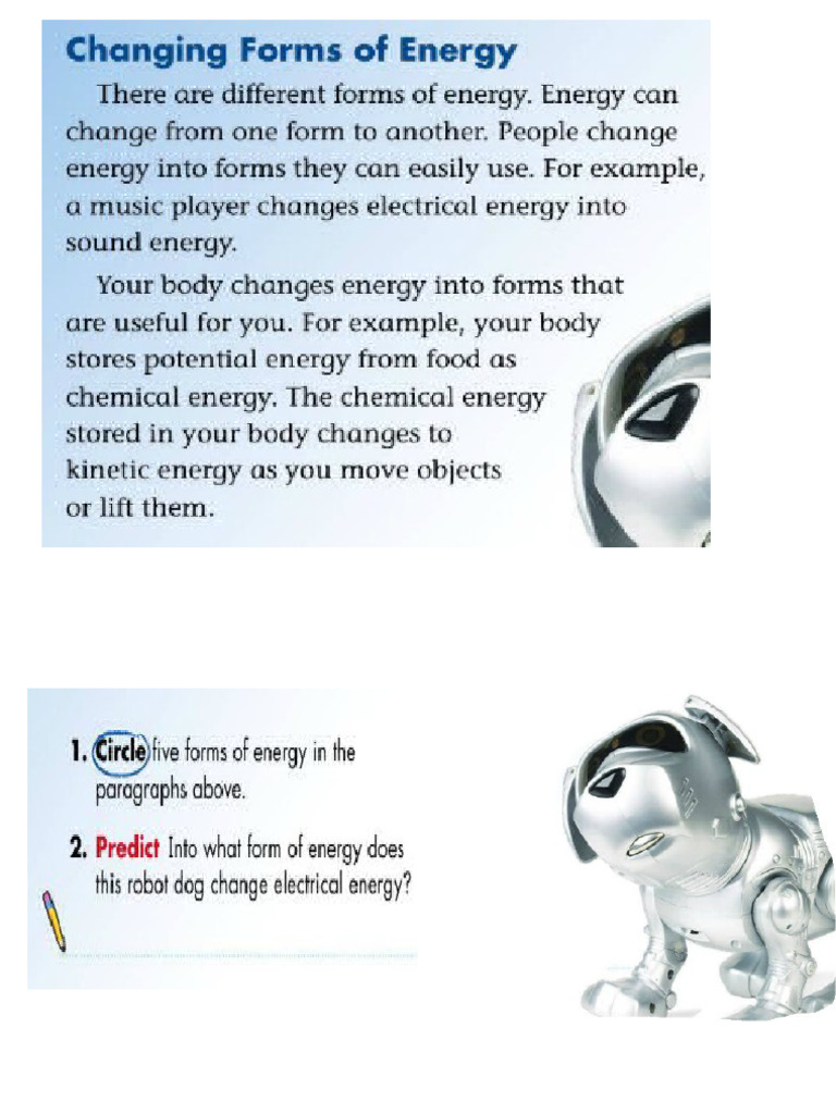 Energy Changes | PDF