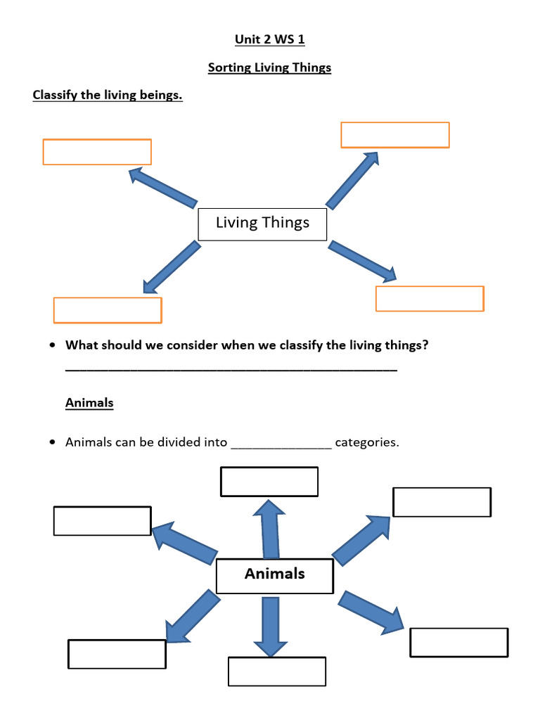 G3-Unit 2 WS 1 | PDF
