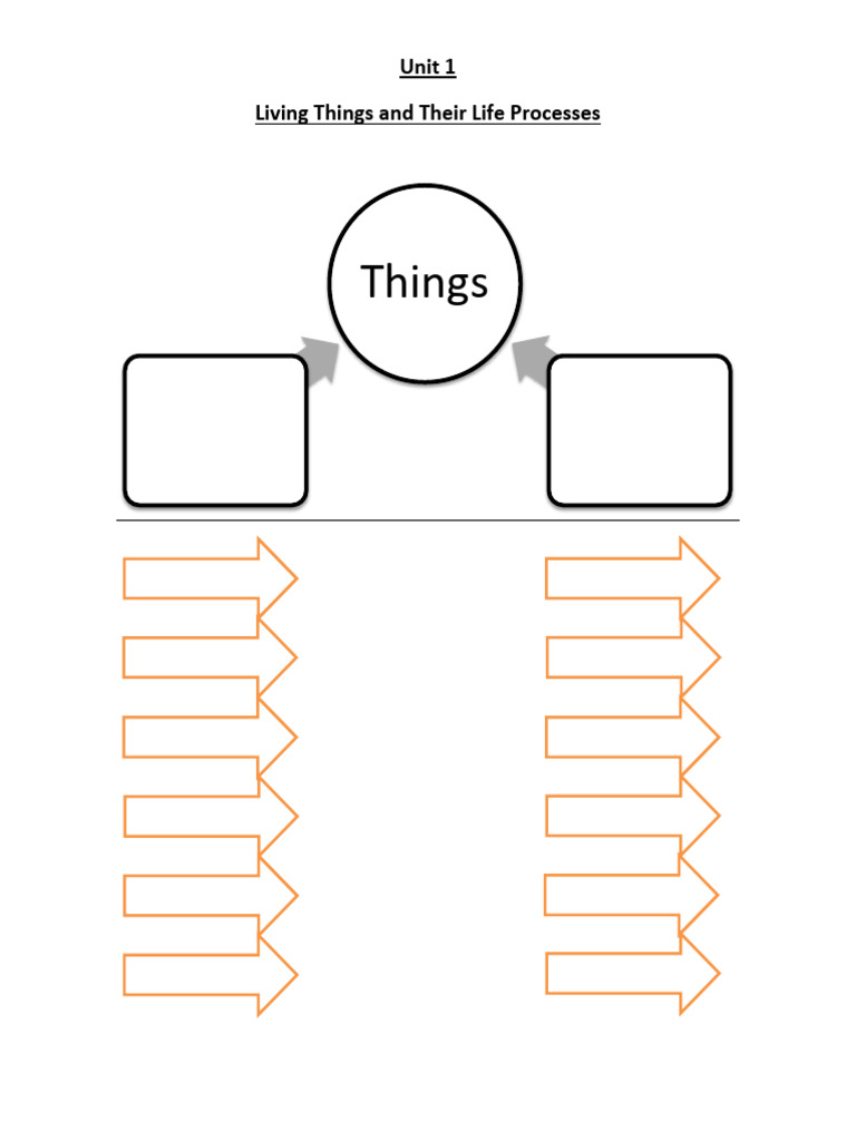 G3-Unit 1 WS 1 | PDF