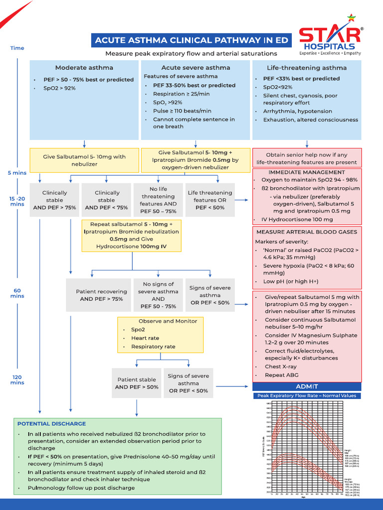 Asthma Protocol | PDF