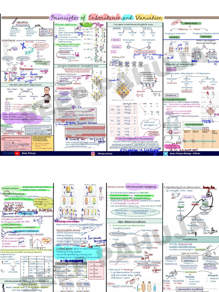 Seep Principle Inh | PDF