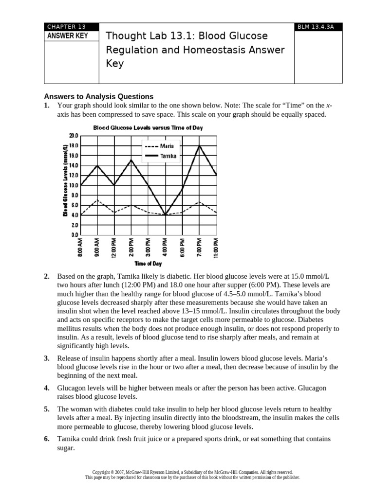 13.4.3A Thought Lab 13.1 BL | PDF