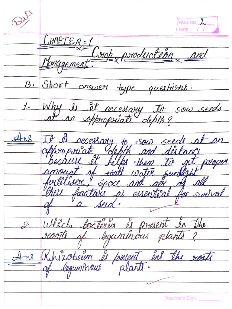 Science Chapter 1 PDF Class 8th | PDF