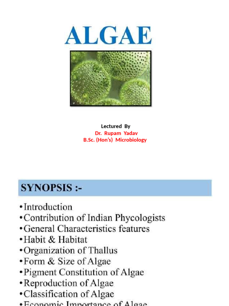 BSC Microbiology | PDF