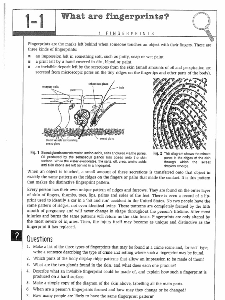 1-1 What Are Fingerprints | PDF