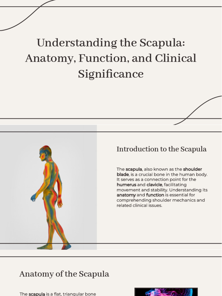 Slidesgo Understanding The Scapula Anatomy Function and Clinical Significance 20241216124925QCMS ...
