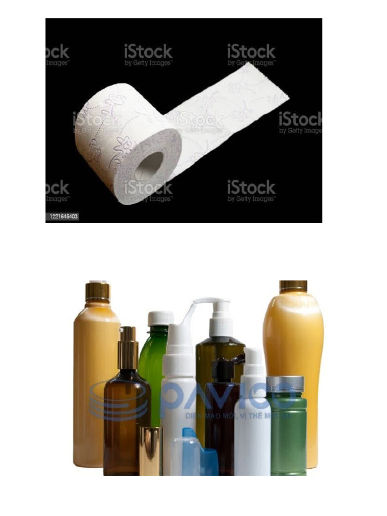 Unit 9 Speaking Leson E10 | PDF