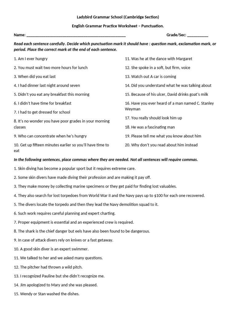 LGS Practice Worksheet Punctuation | PDF