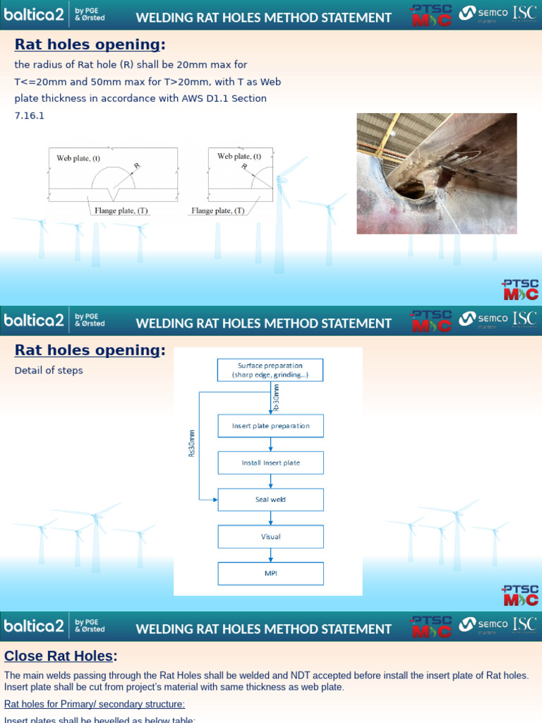 BAL2 - MSF - MS Rat Holes 18mar | PDF