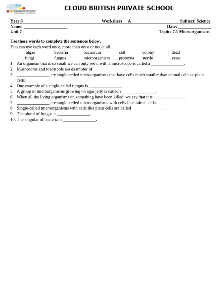 7.1 Worksheet Microorganisms | PDF | Protozoa | Fungus