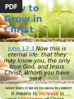 30 Life Principles | PDF | Eternal Life (Christianity) | Adam And Eve