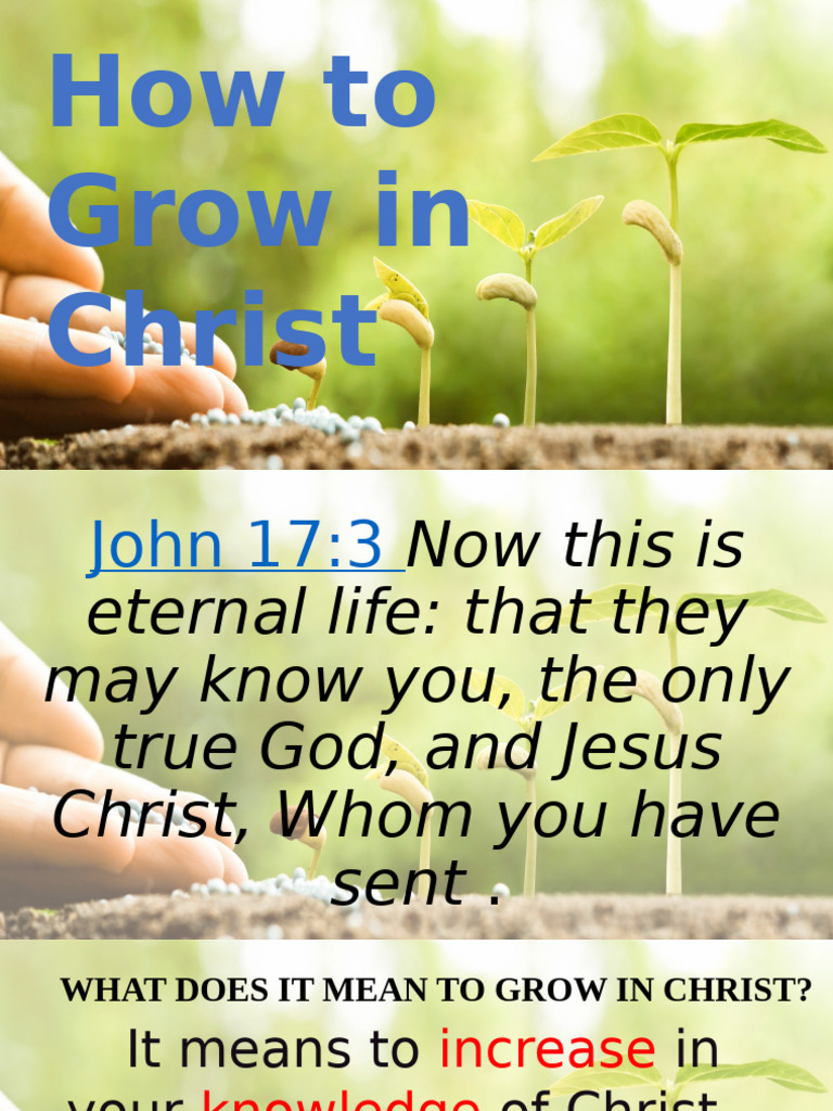 Steps to Grow Spiritually in Christ | PDF | Jesus | Gospel Of John