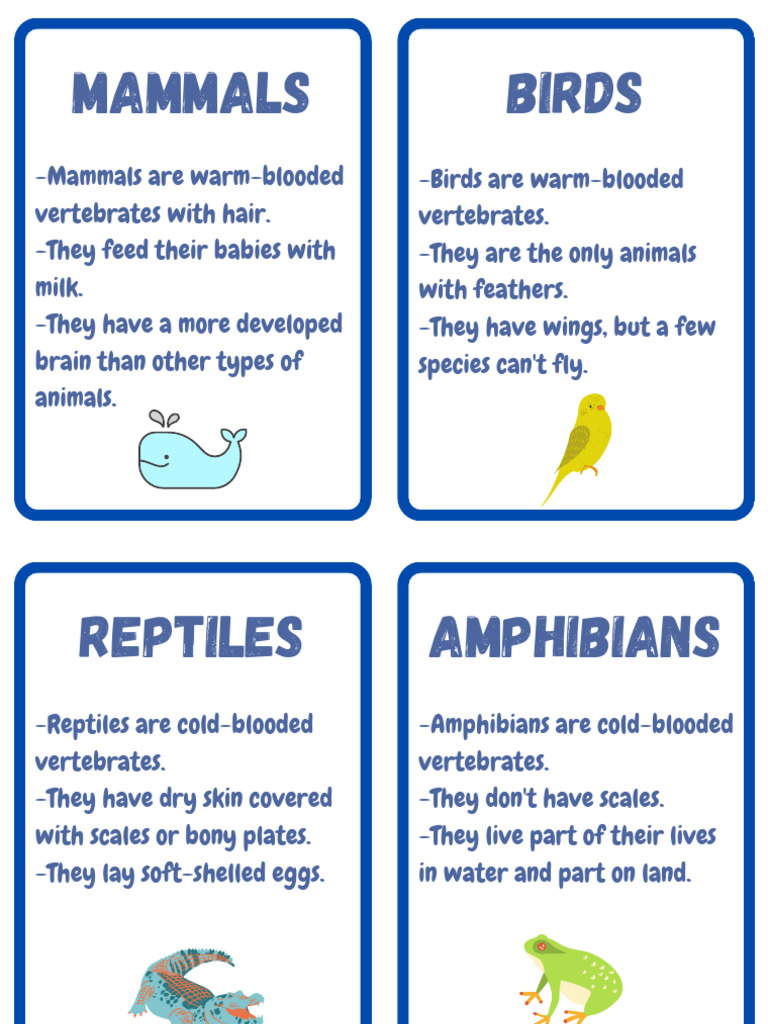 Animal Groups Flashcards - 20250503 - 180216 - 0000 | PDF
