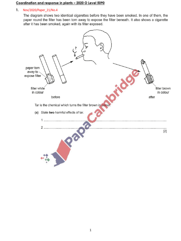 Plant Coordination Response O Level 5090 | PDF