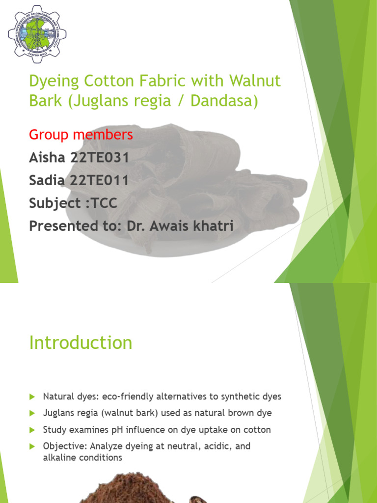 Walnut Bark Dyeing Experiment | PDF