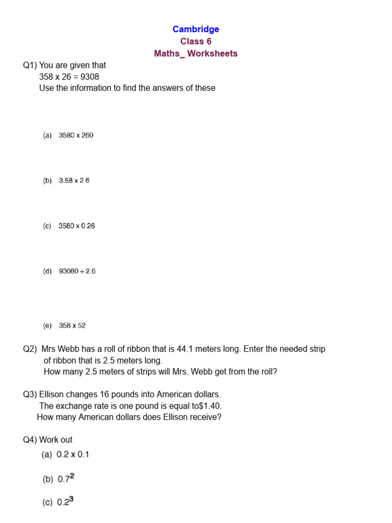 Mathematics Class 7 Beginner Worksheet | PDF
