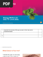 IGCSE 0610 - EYES Sense Organs NOTES (2023-2025) | PDF | Eye | Retina