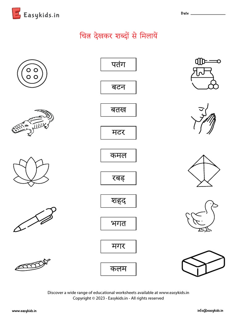 Look and Match | PDF