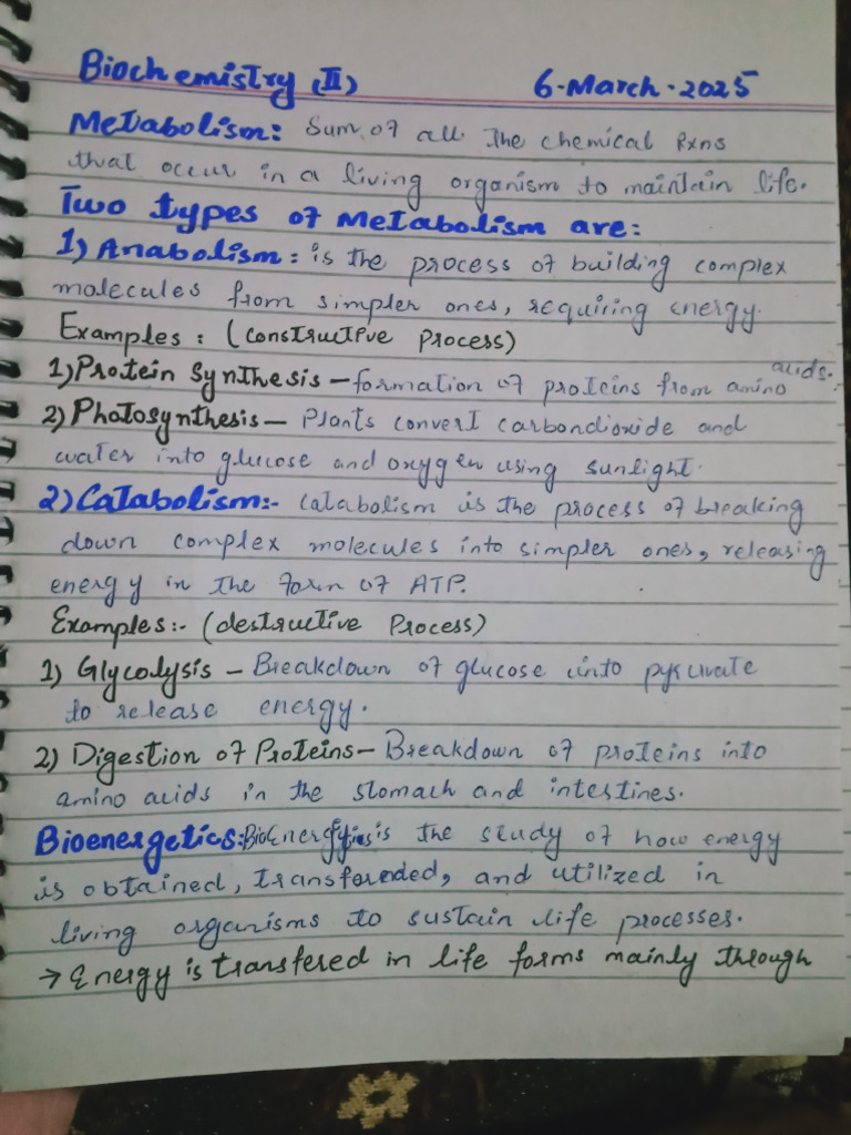 Biochem Notes | PDF