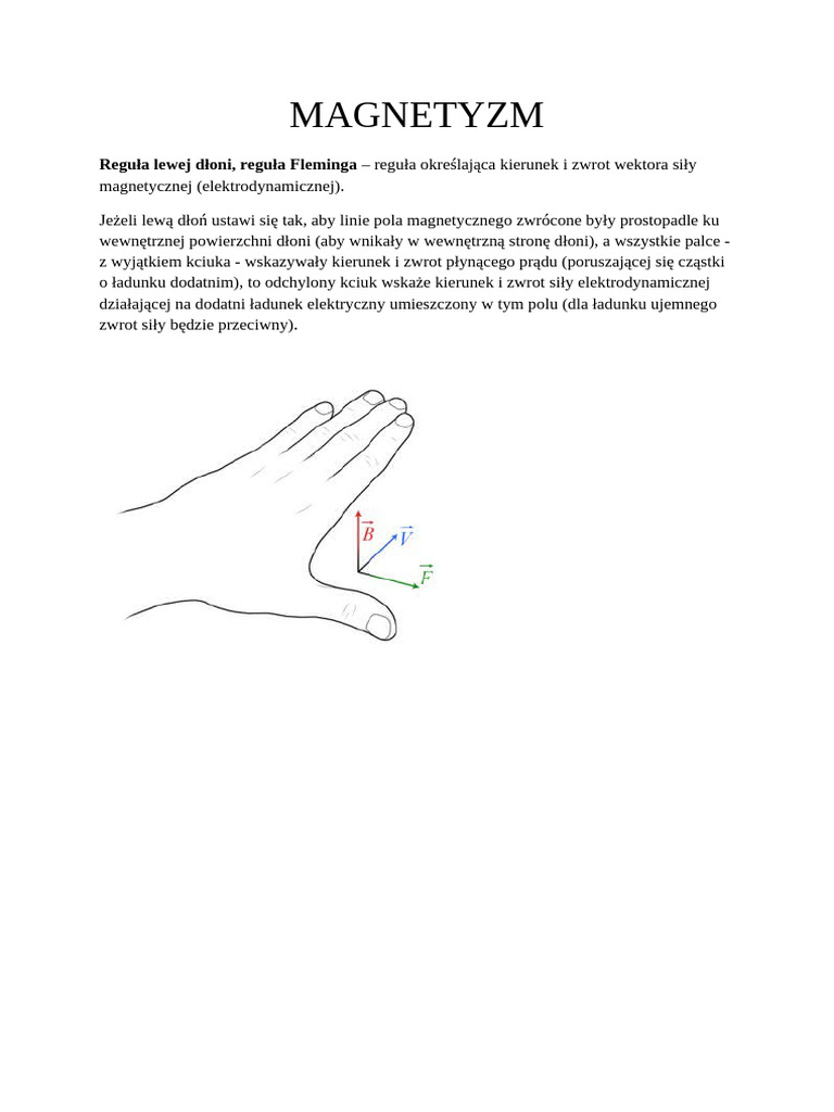 Magnetyzm | PDF