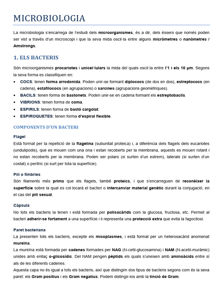 Microorganismes | PDF