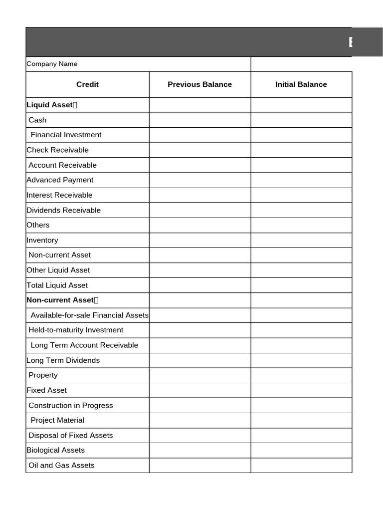 Balance Sheet: Credit Previous Balance Initial Balance Liquid Asset | PDF