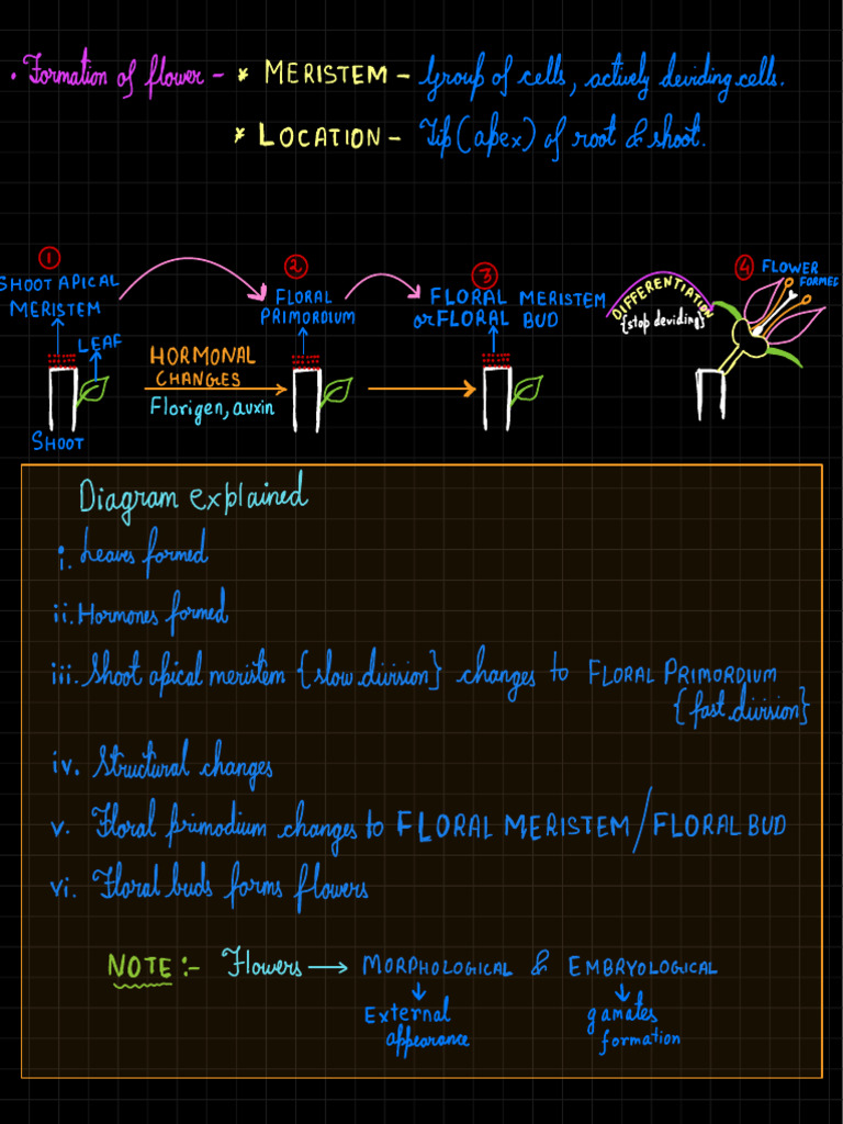 Sexual Reproduction of Flowers | PDF | Organisms | Plant Morphology