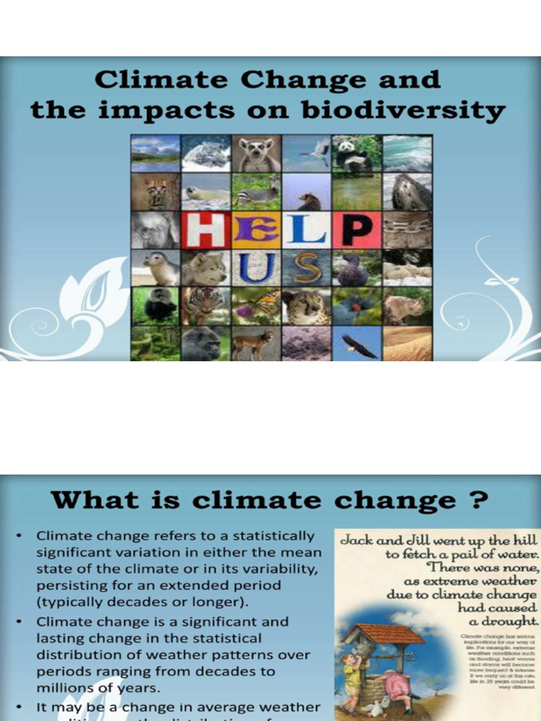 EVS PPT Assignment | PDF