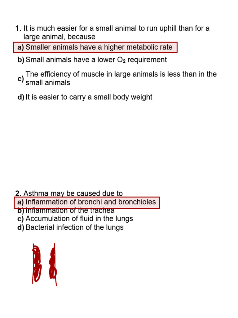 Human Physiology Questions Pyqs Pdf