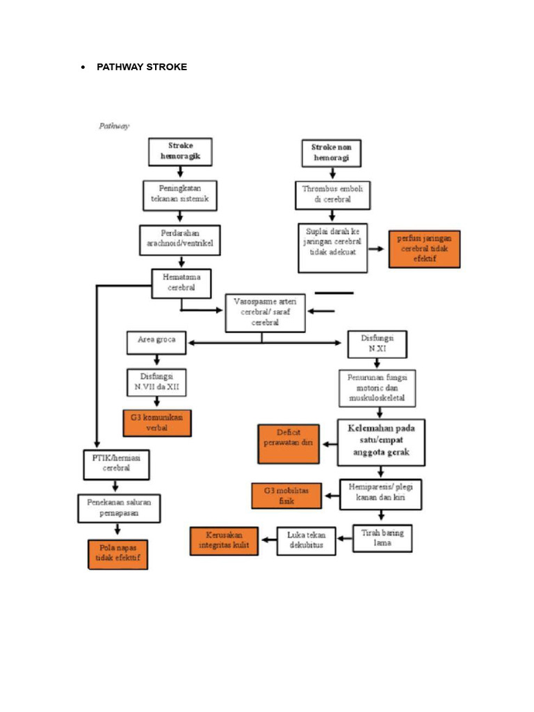 Pathway Stroke | PDF