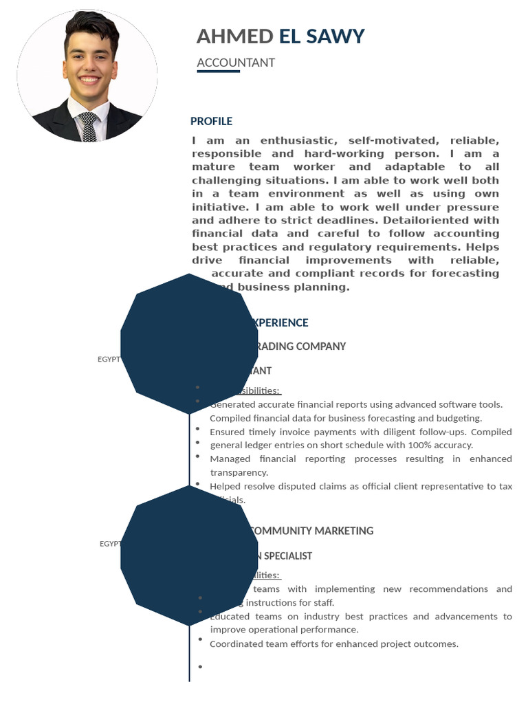 Accountant Profile and Experience Summary | PDF