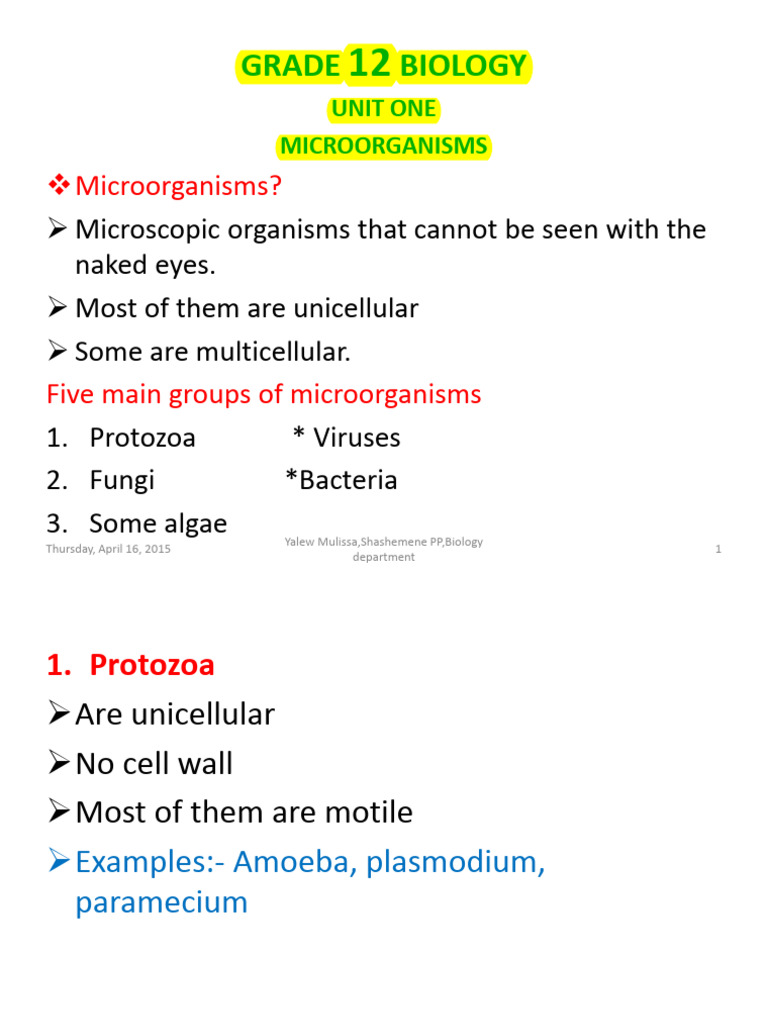Understanding Virus Reproduction | PDF | Virus | Hiv
