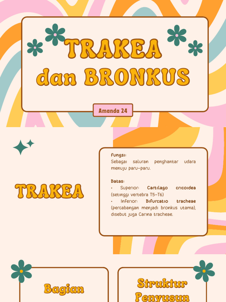 Trakea Dan Bronkus | PDF