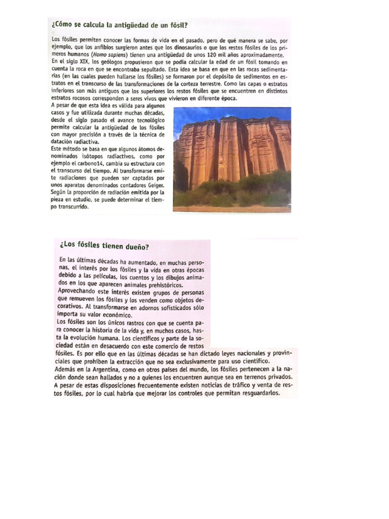 Apuntes La Vida en El Pasado | PDF