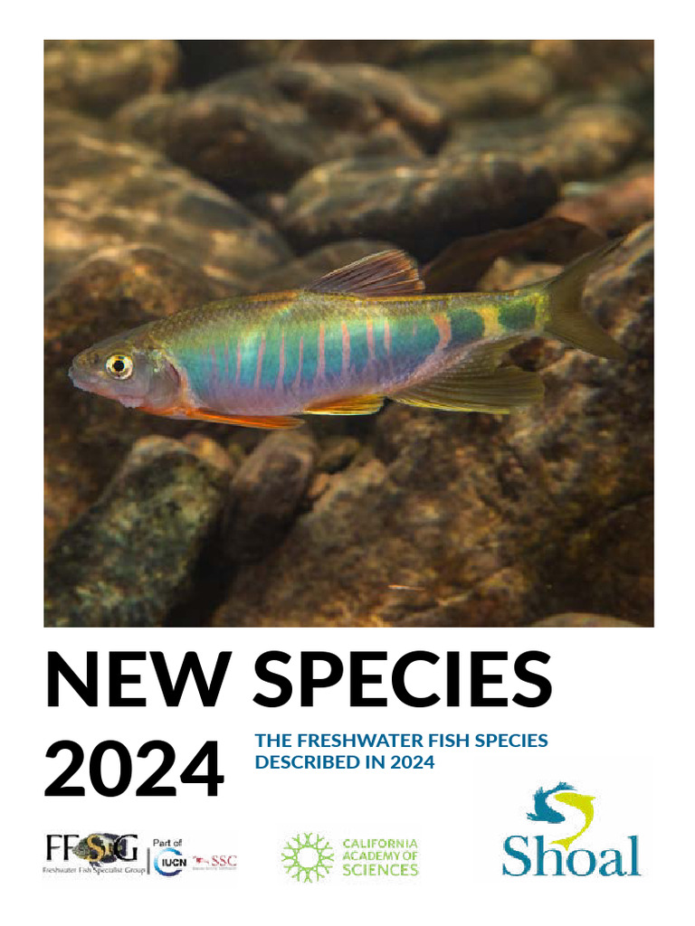 New Freshwater Fish Species 2024 | PDF | Conservation Biology ...