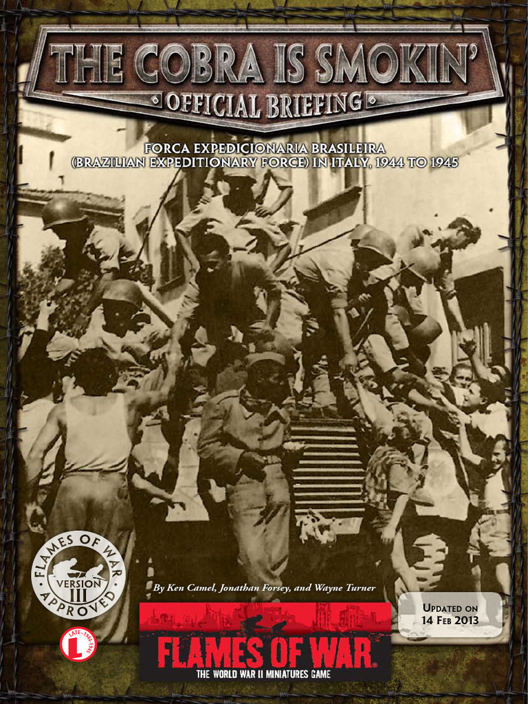 Brazilian Intelligence Briefing V3 | PDF | Platoon | Regiment