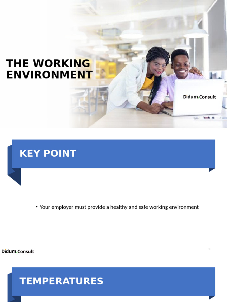 The Working Environment | PDF | Water | Occupational Safety And Health