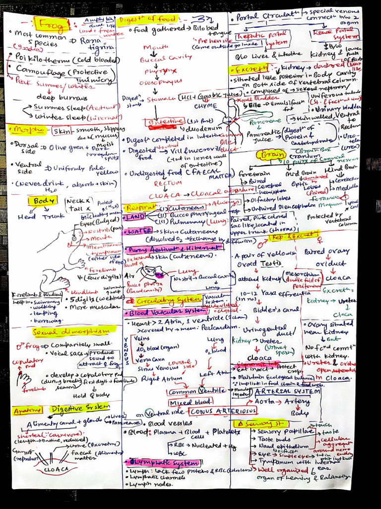 Frog, One Page Short Notes | PDF