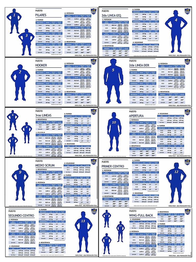 Estadisticas Esperadas Jugadores Rugby Segun UAR | PDF