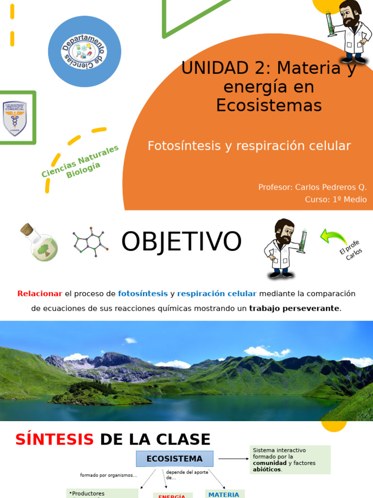 Fotosíntesis y Respiración Celular | PDF | Fotosíntesis | Respiración ...