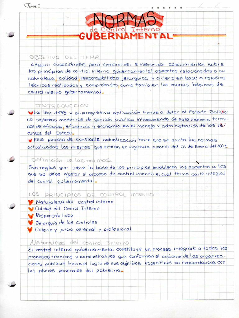 Tema 4 Gubernamental | PDF