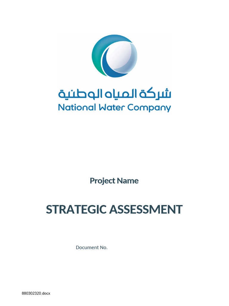 Strategic Assessment Template Guide | PDF | Demand | Strategic Management