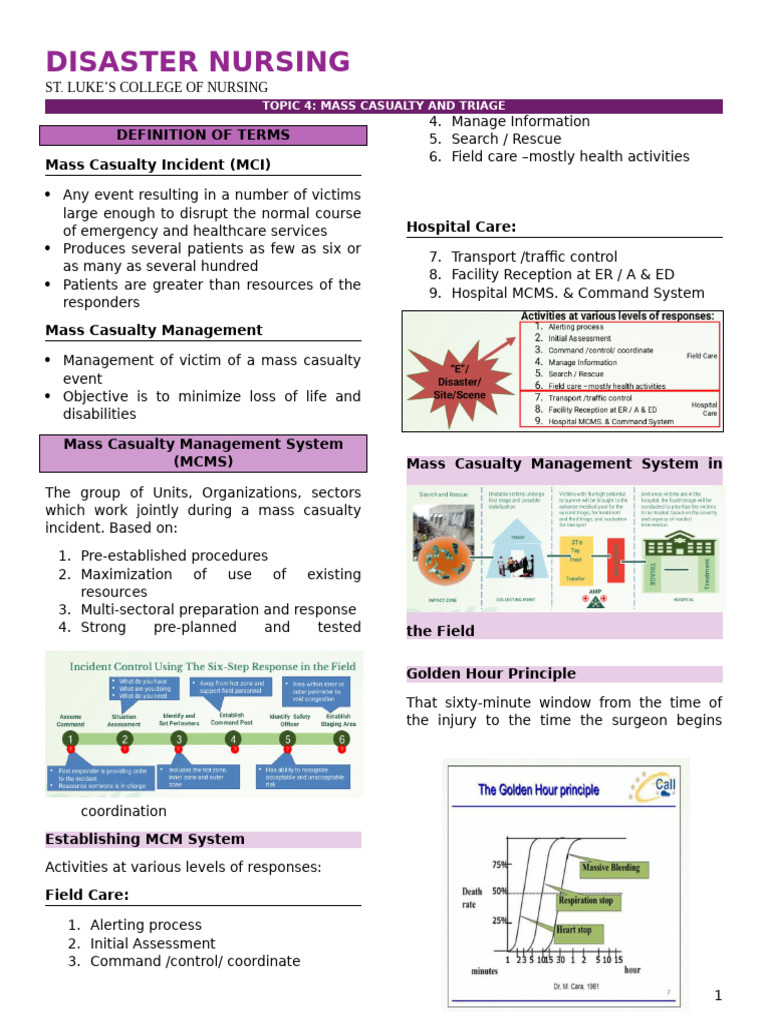 Mass Casualty Incident Triage Overview | PDF | Emergency Department ...