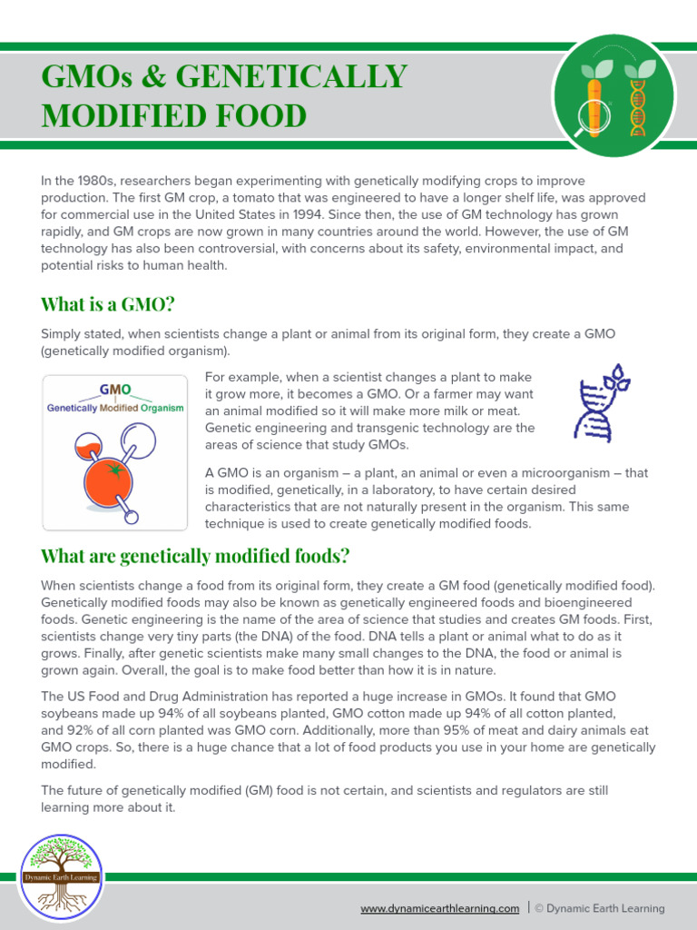 Genetically Modified Food GMOs - Handout | PDF | Genetic Engineering | Genetically Modified Organism