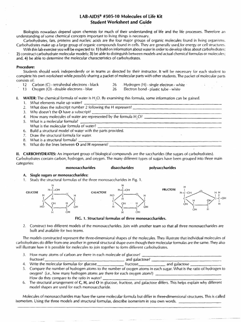 Molecules of Life Blank Doct. | PDF