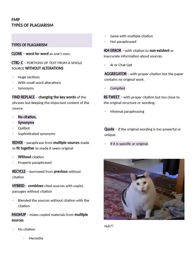 Types of Plagiarism | PDF