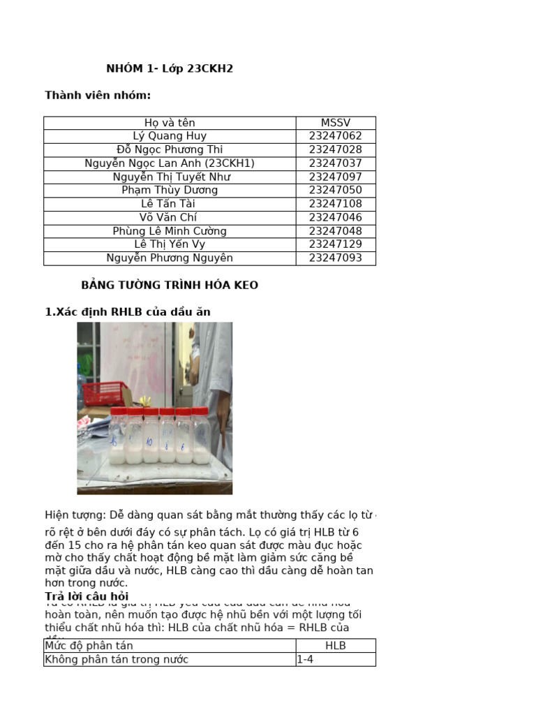 Ckh2 Hk Nhóm1 | PDF