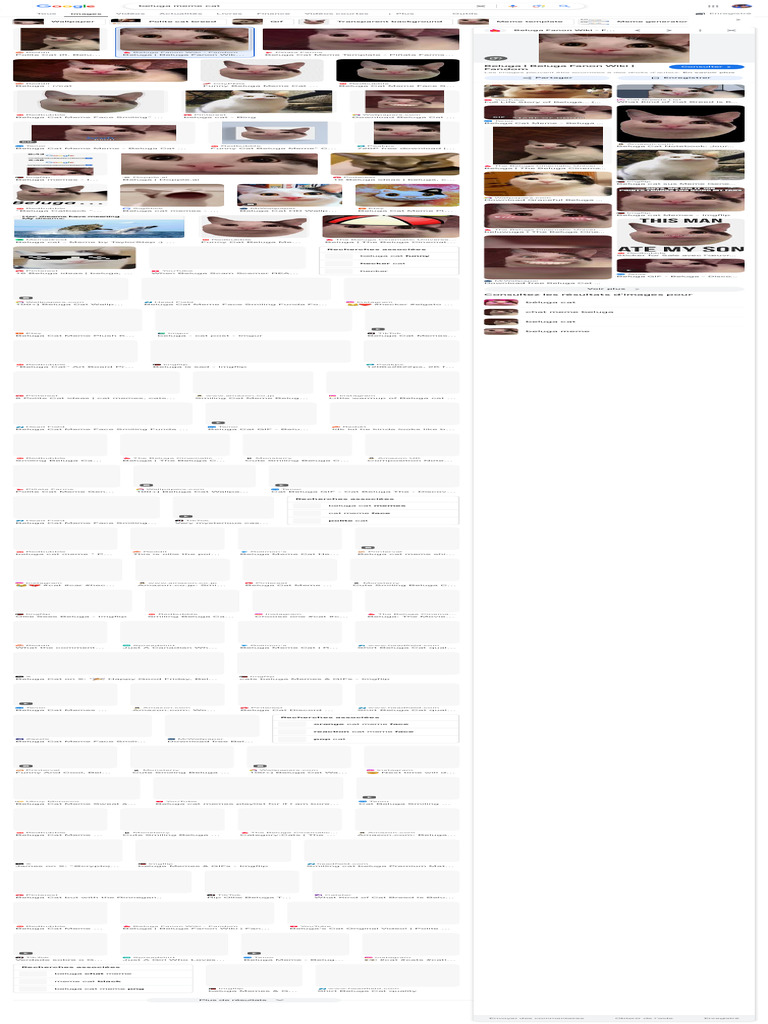 Beluga Meme Cat - Recherche Google | PDF