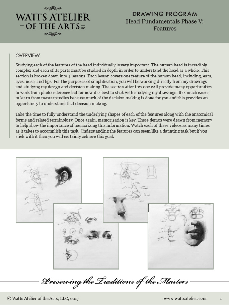 Drawing Human Head Features Guide | PDF | Drawing
